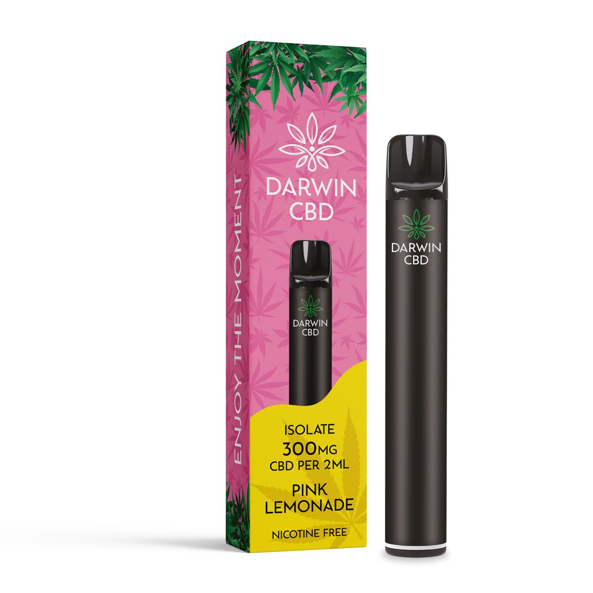 Darwin CBD Starter Kit – 300mg – Pink Lemonade
